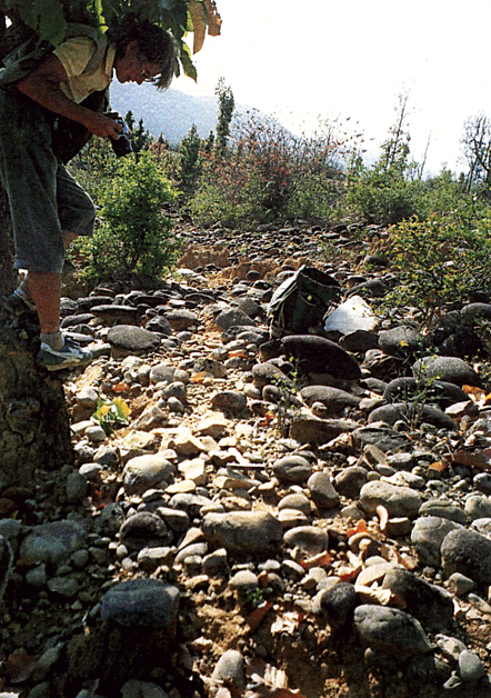Prehistoric Man in Nepal | Features | ECSNEPAL - The Nepali Way